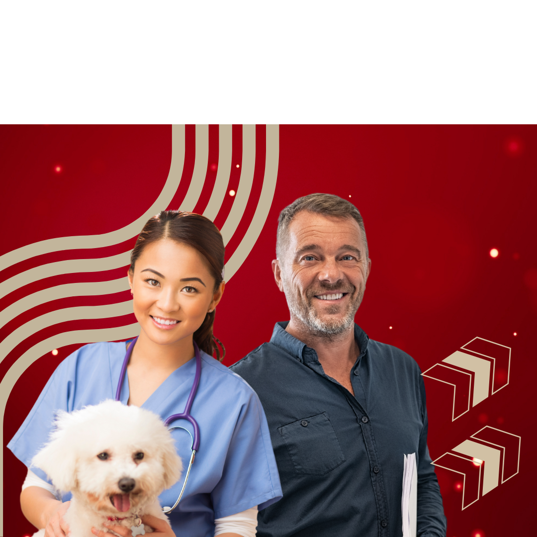 International Open Academy