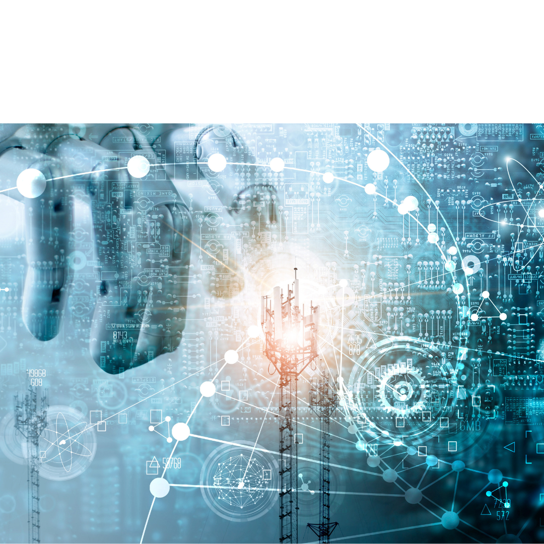 International Open Academy